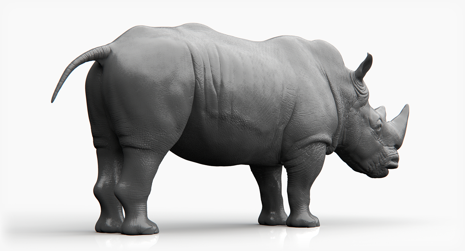 Realistic rhino model - TurboSquid 1351004