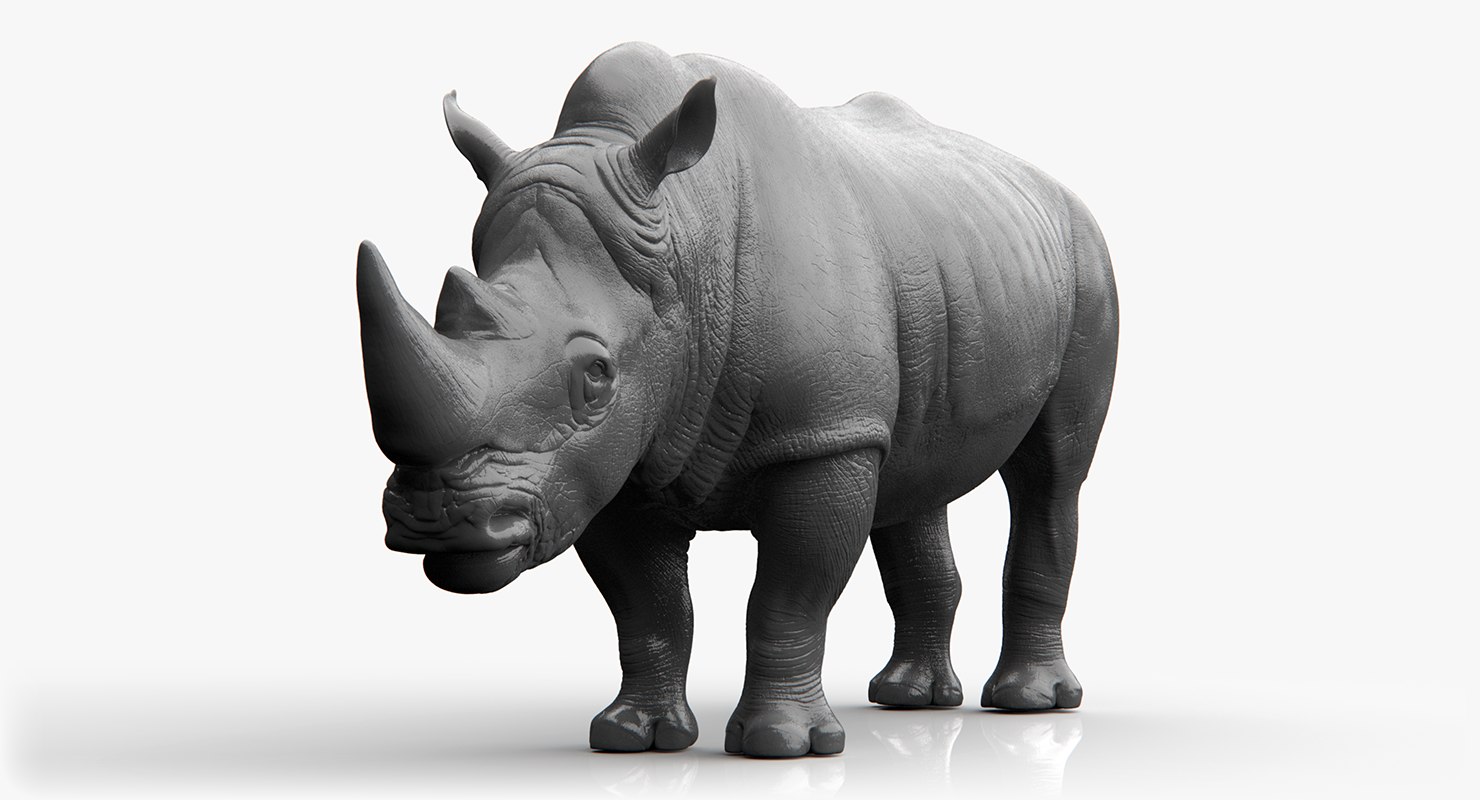 Realistic rhino model - TurboSquid 1351004