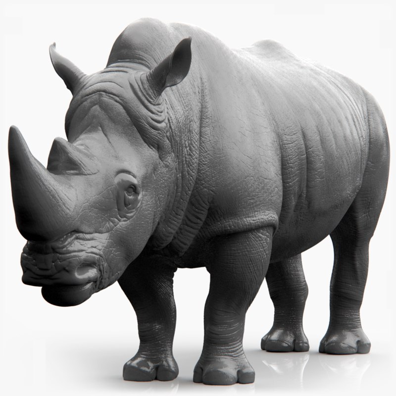 Realistic rhino model - TurboSquid 1351004