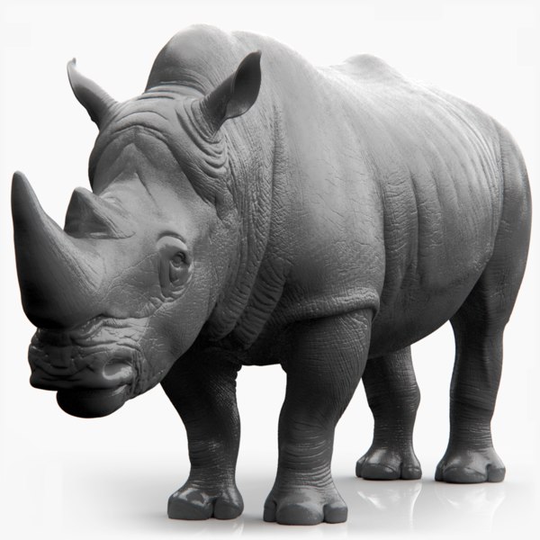 Realistic rhino model - TurboSquid 1351004
