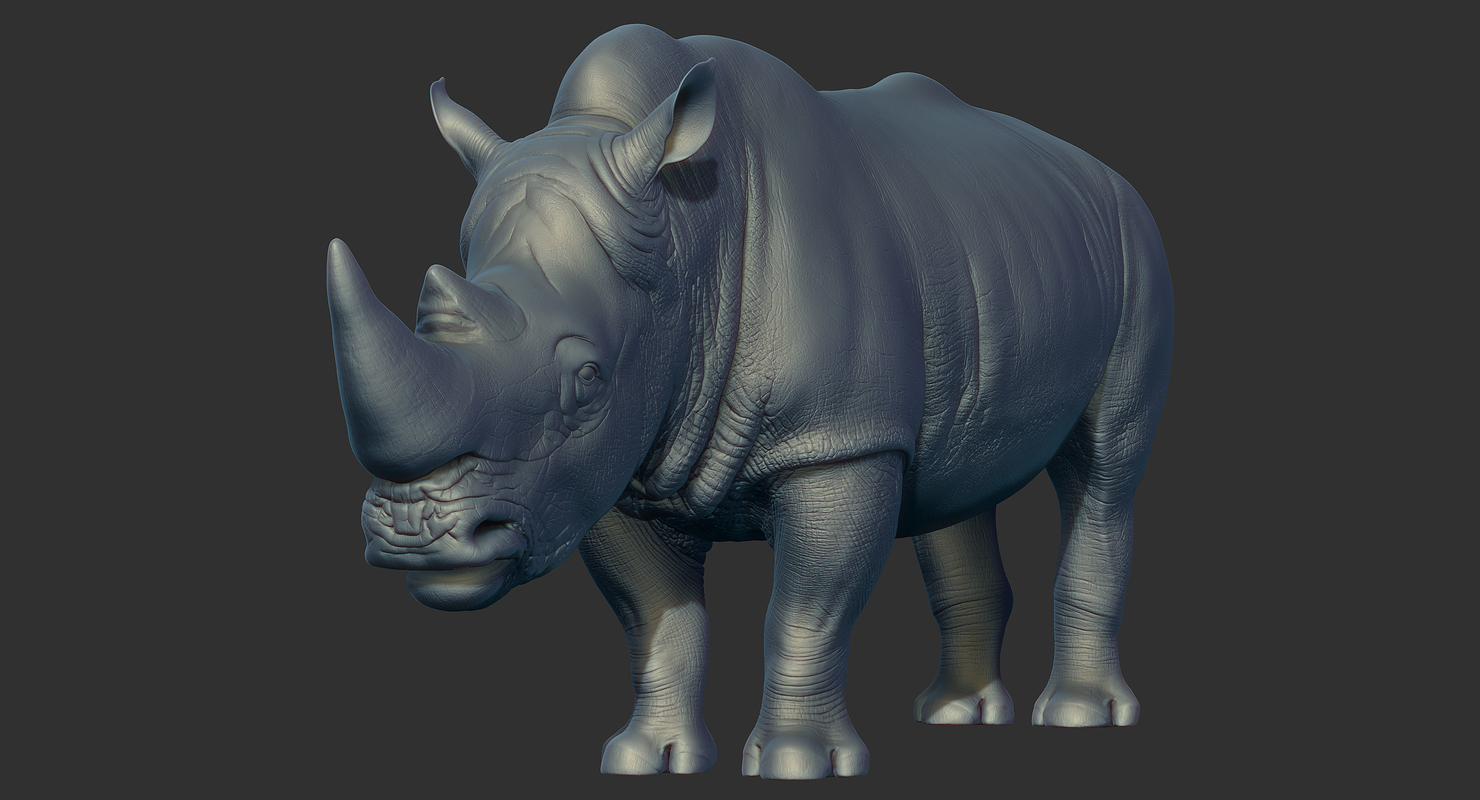 Realistic rhino model - TurboSquid 1351004
