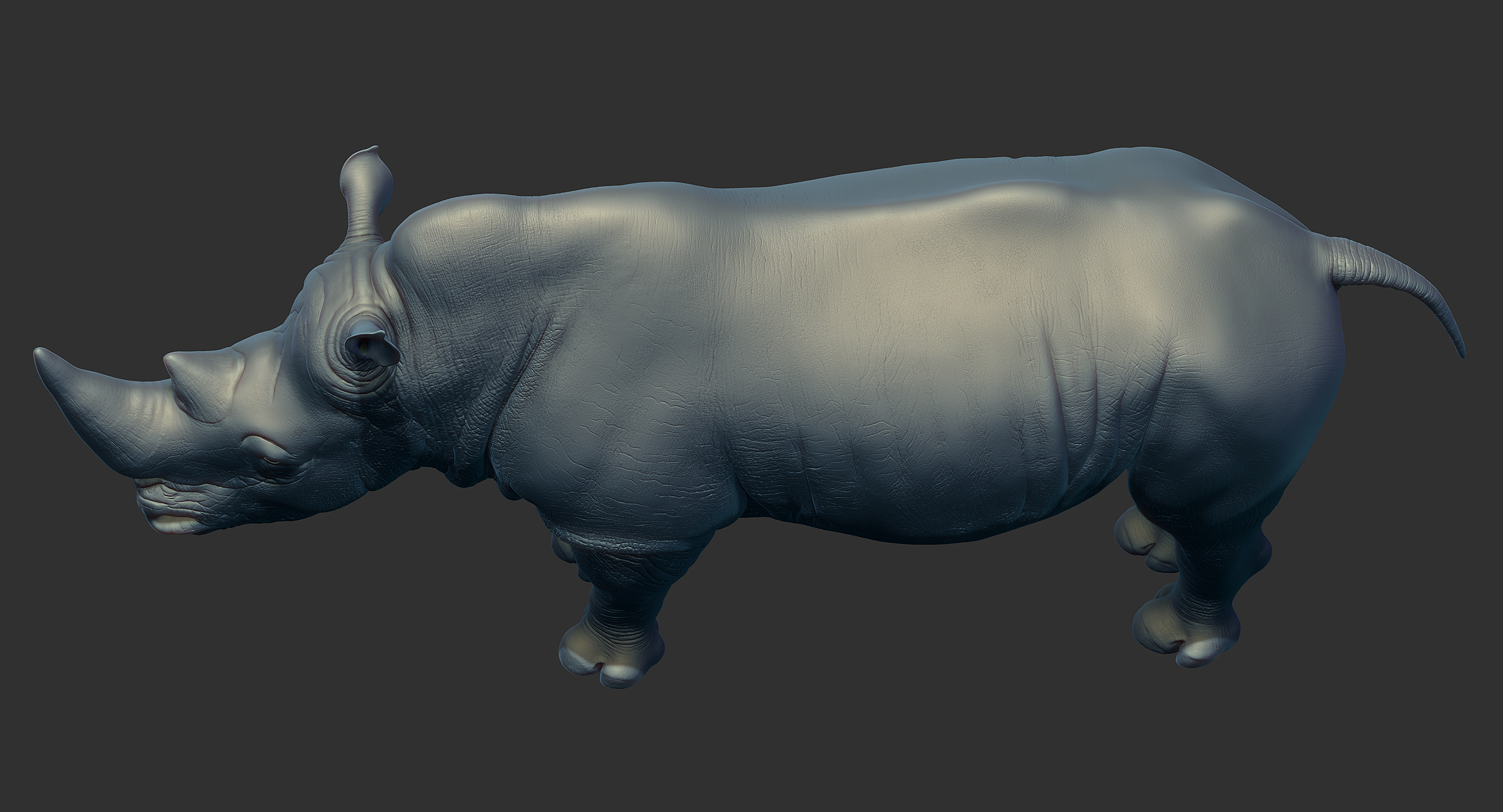 Realistic rhino model - TurboSquid 1351004