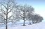 3D winter trees pack 14 model - TurboSquid 1351151