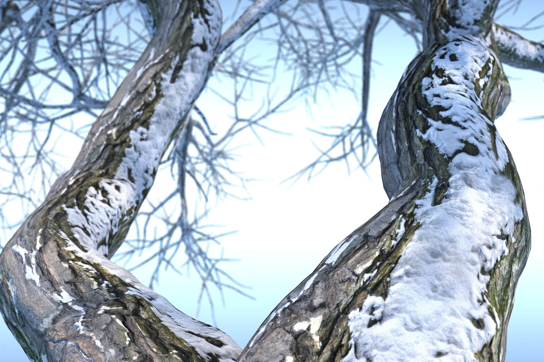 3D winter trees pack 14 model - TurboSquid 1351151