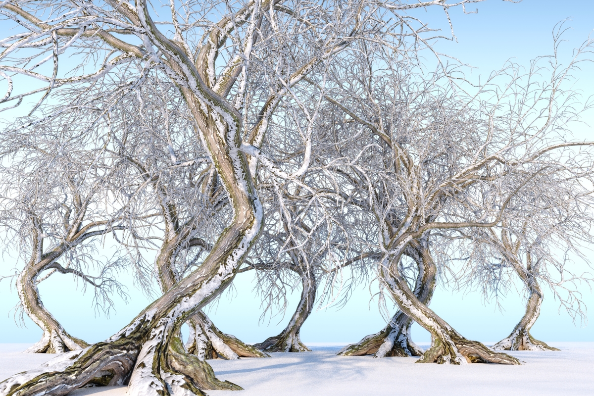 3D winter tree - TurboSquid 1351355