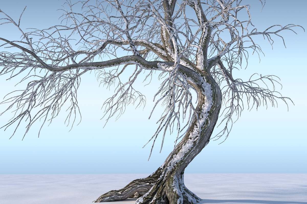 3D winter tree - TurboSquid 1351355