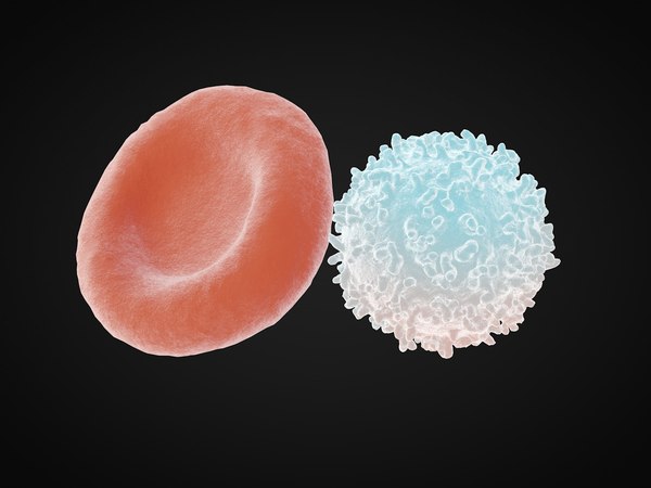 Red Blood Cell 3D Models for Download | TurboSquid
