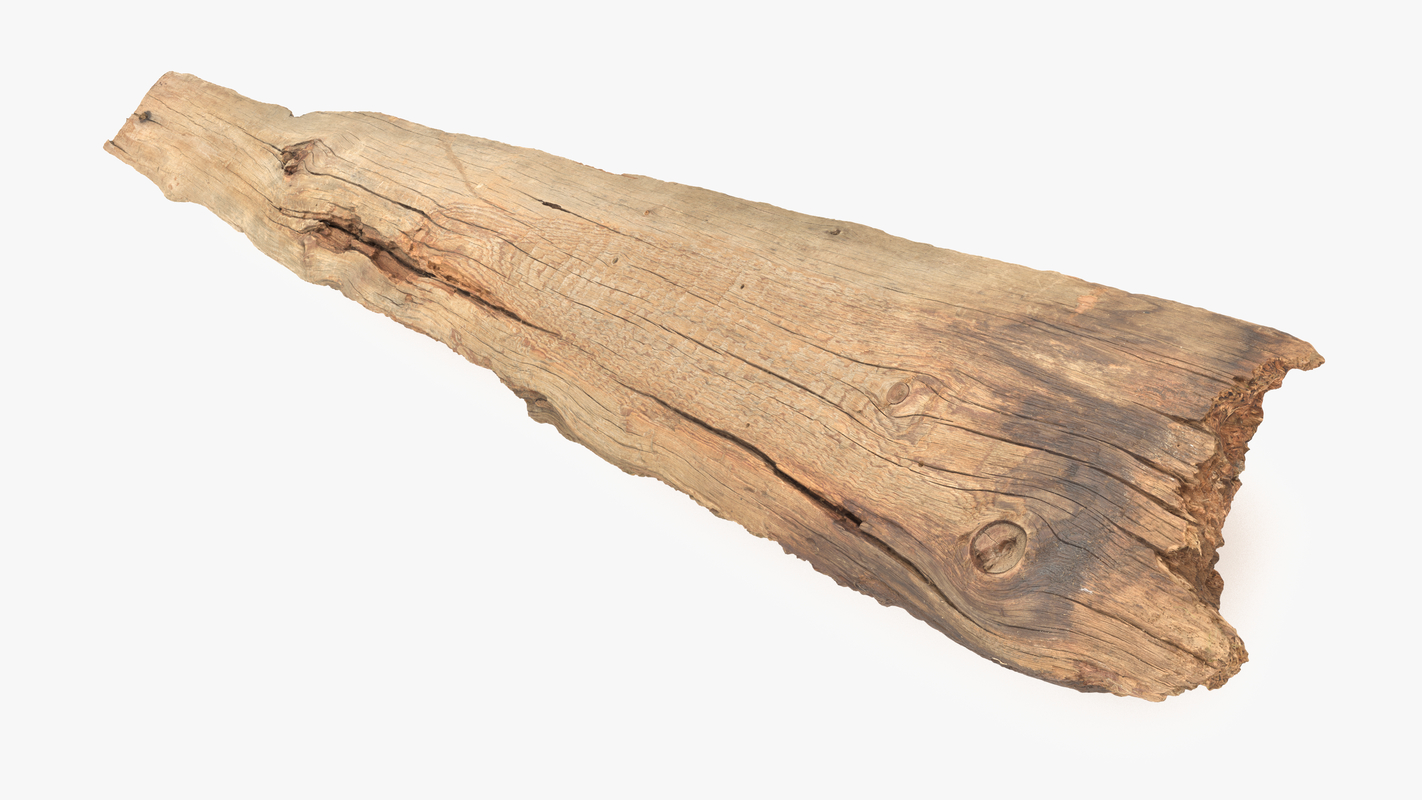 Sculpt photorealistic 3D model - TurboSquid 1352848