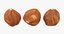 3D model realistic 3 hazelnuts - TurboSquid 1353070
