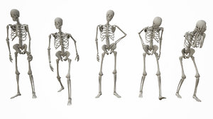 pirate props ship max