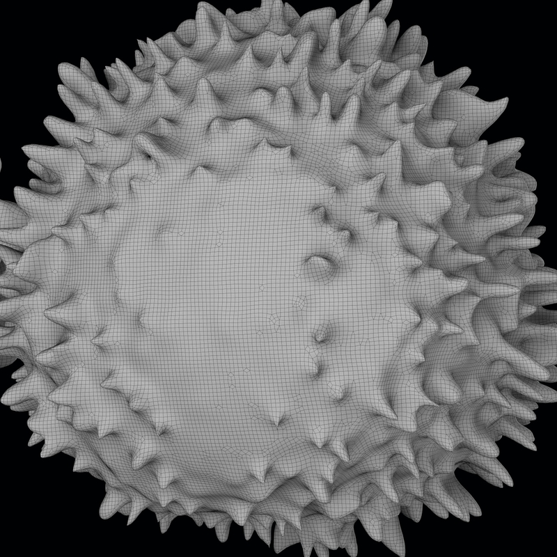 9 lymphocytes 3D - TurboSquid 1353472