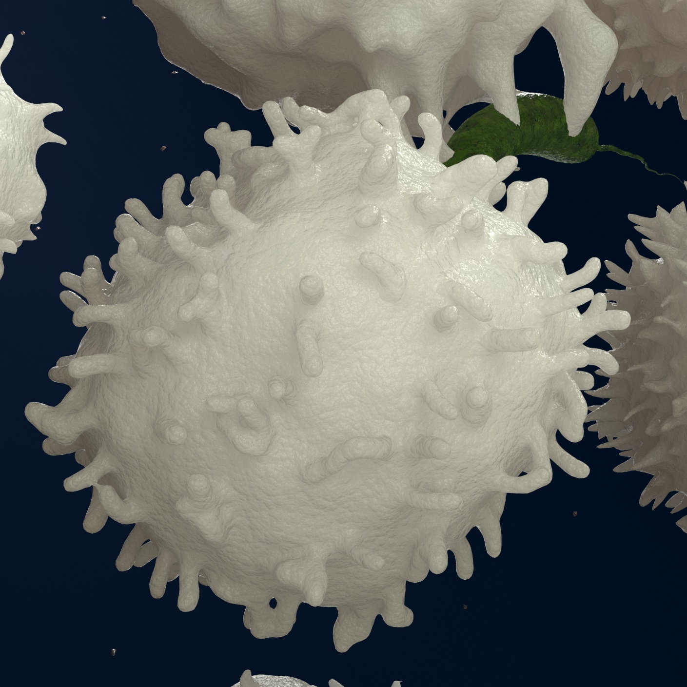 9 lymphocytes 3D - TurboSquid 1353472