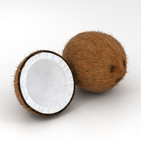 3D Coconut Models | TurboSquid