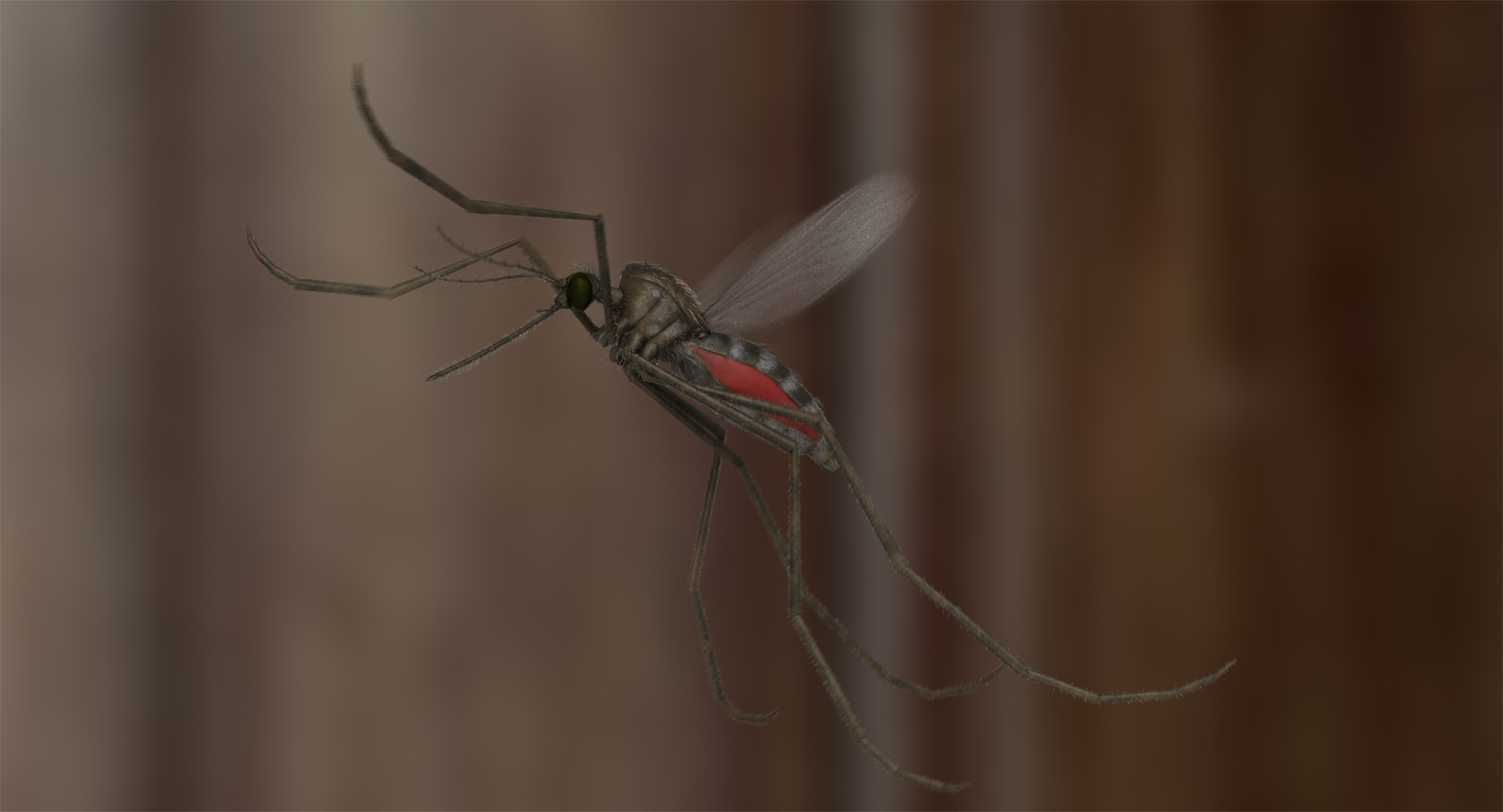 3D model common house mosquito animation - TurboSquid 1353866