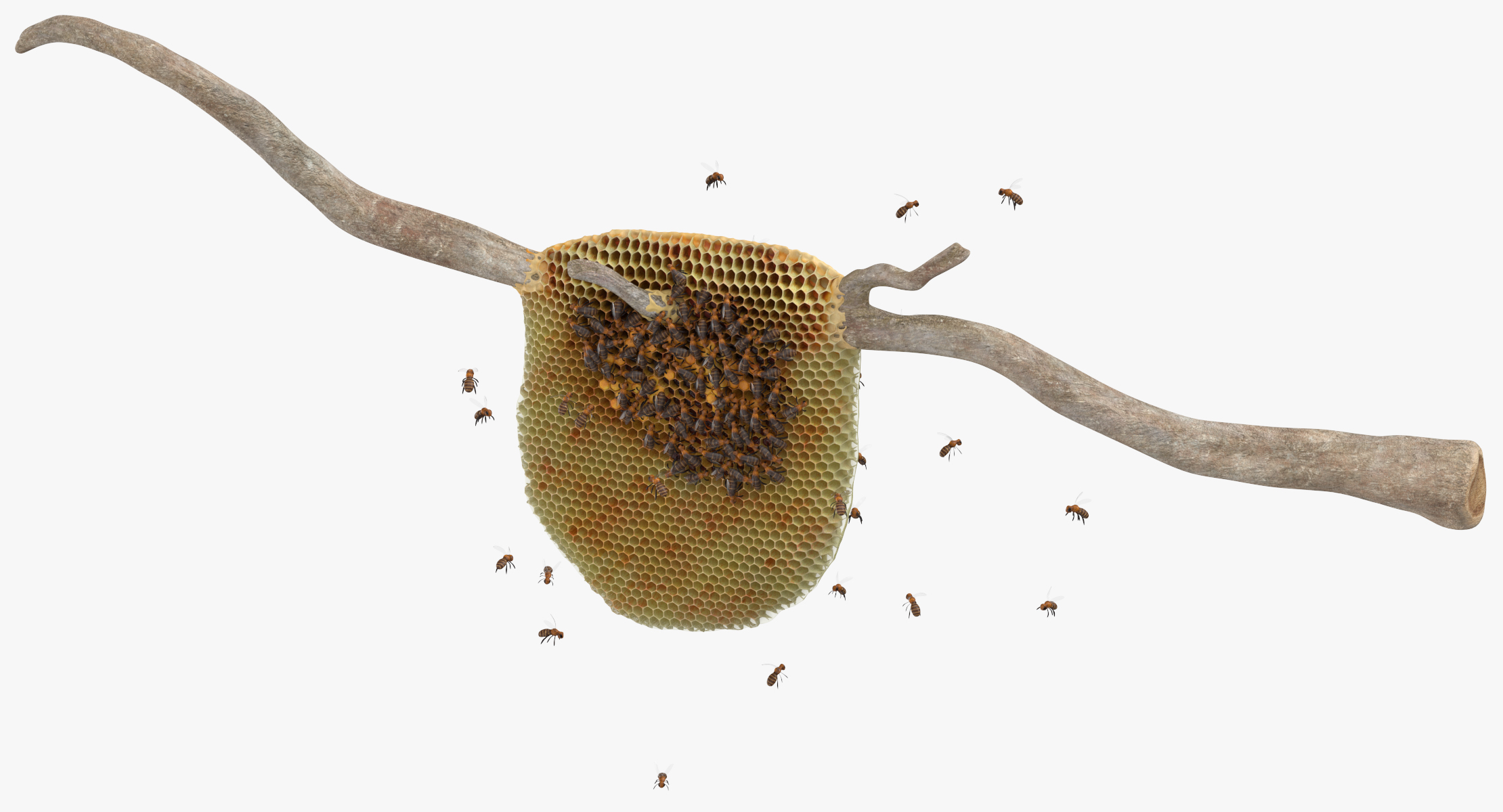 Bee hive 01 3D model - TurboSquid 1354309