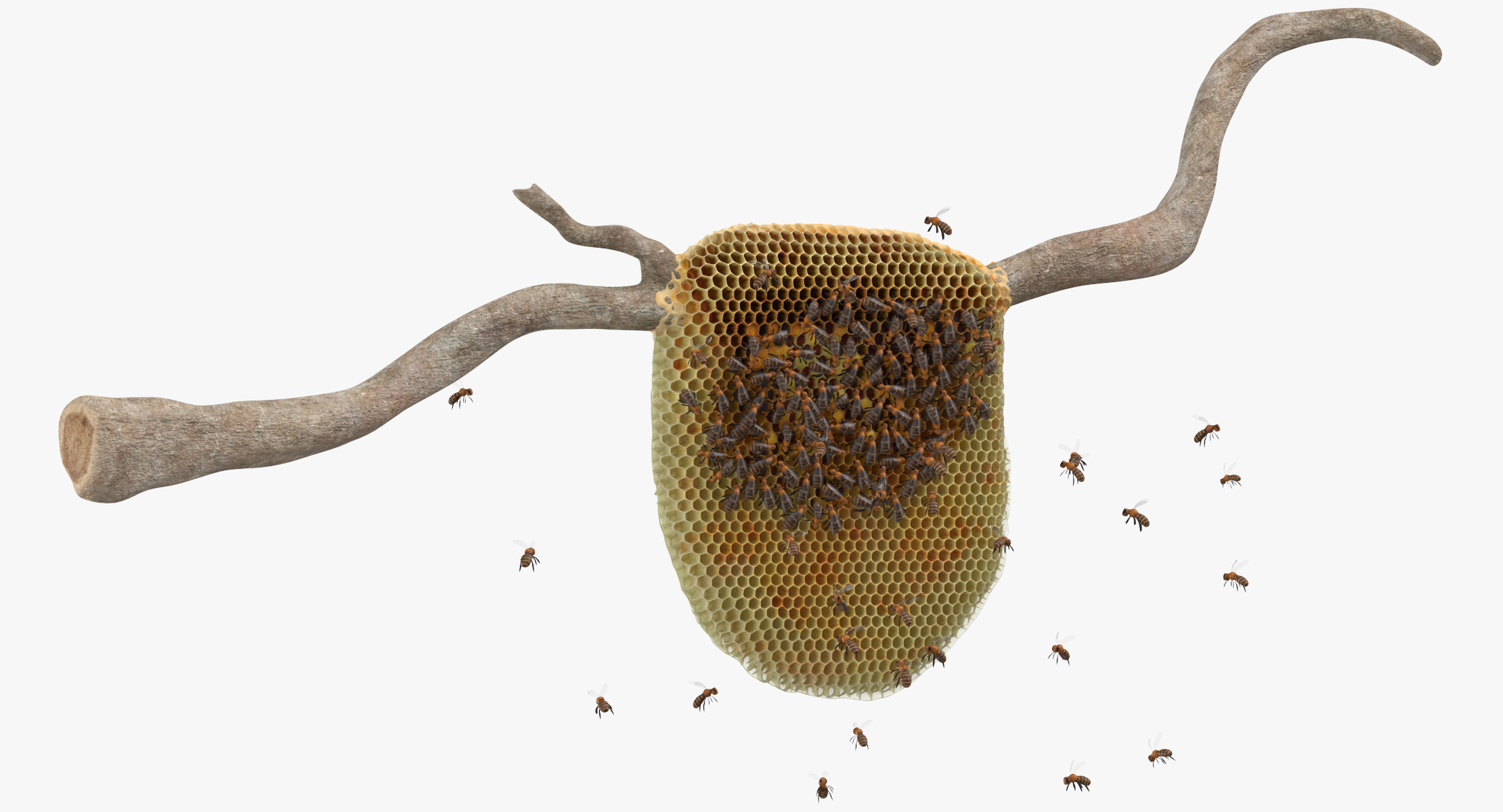 Bee hive 01 3D model - TurboSquid 1354309