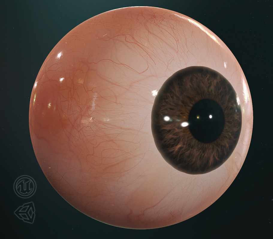 3D model realistic human eye pbr - TurboSquid 1338624