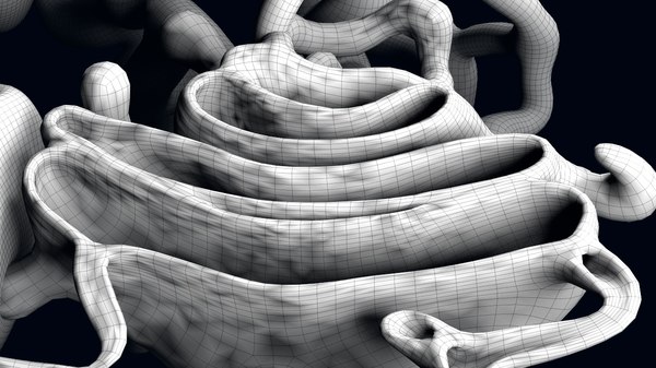 Cell reticulum endoplasmic 3D model - TurboSquid 1354436