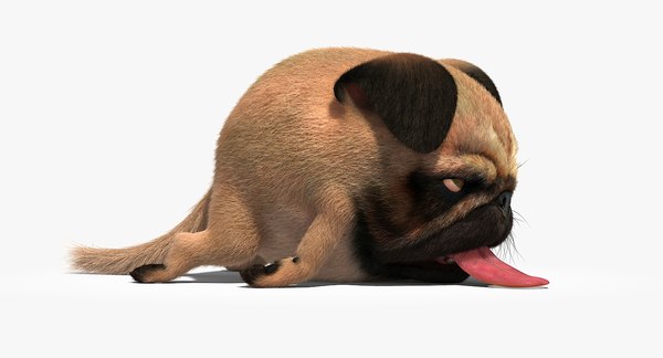 Character rig pug 3D model - TurboSquid 1354808