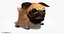 Character rig pug 3D model - TurboSquid 1354808
