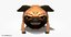 Character rig pug 3D model - TurboSquid 1354808