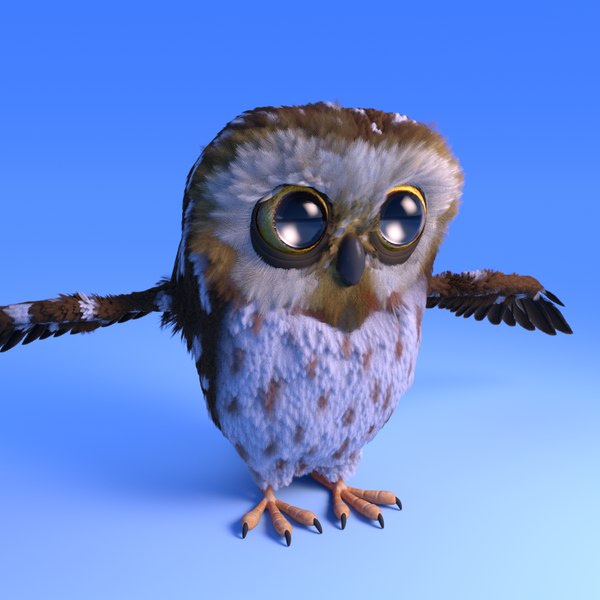 Owl 3D Models for Download | TurboSquid