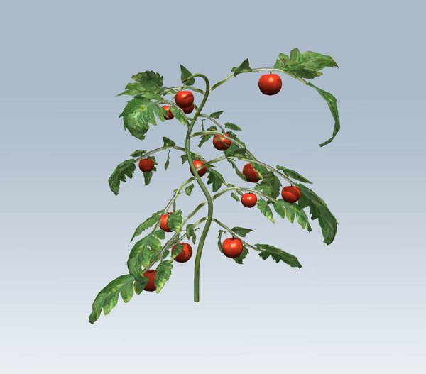 Plants Rhino Models for Download | TurboSquid