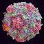 3d smallpox virus