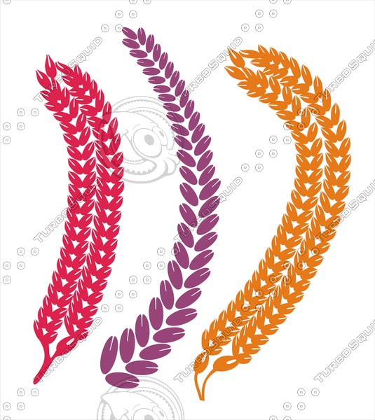 Shapes Encapsulated Postscript paddy flowers combo