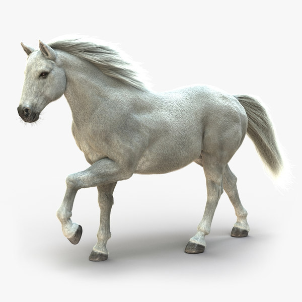 Horse 3D Models for Download | TurboSquid