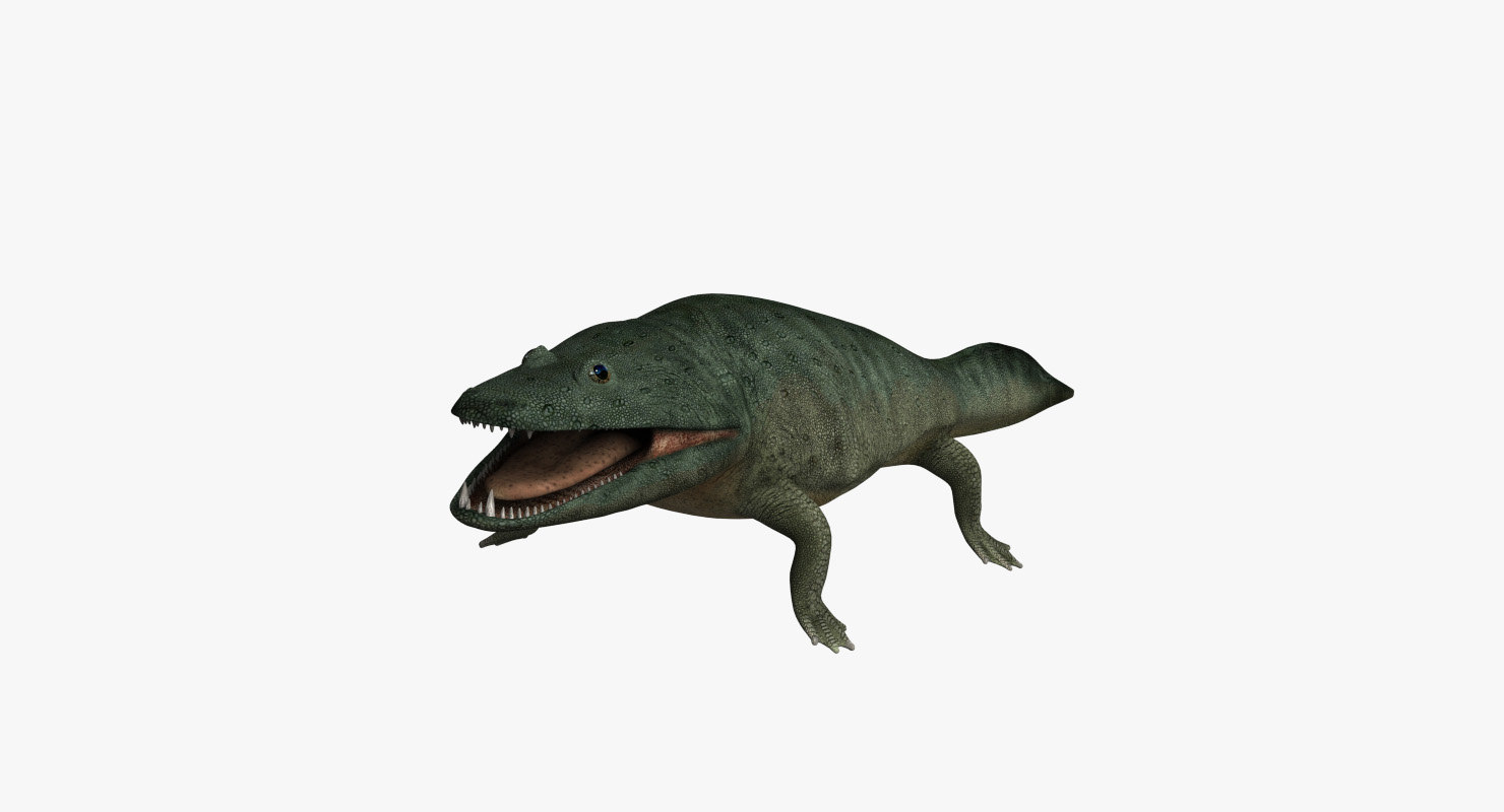 Mastodonsaurus 3D model - TurboSquid 1358723