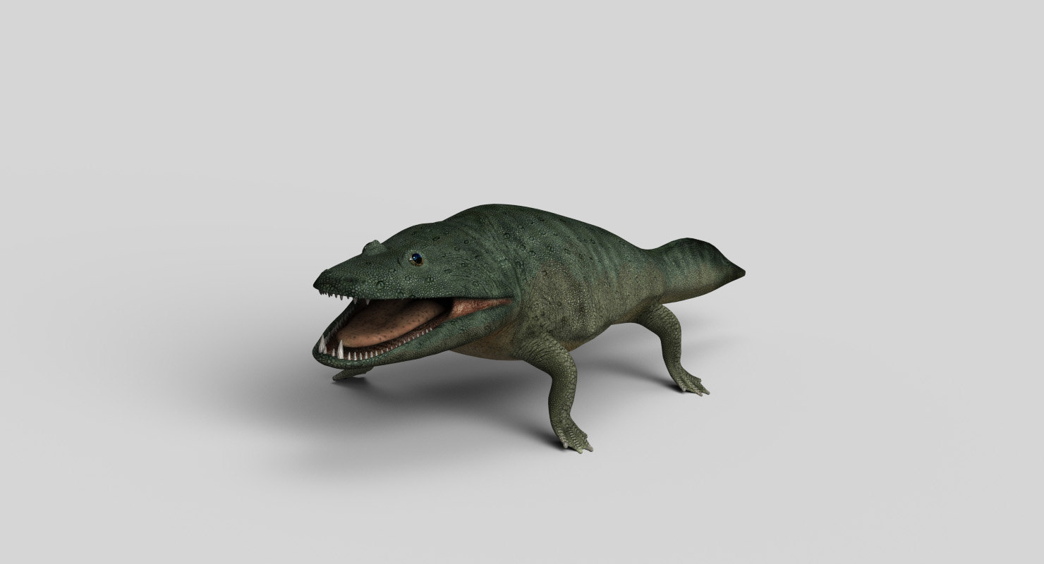 Mastodonsaurus 3D model - TurboSquid 1358723