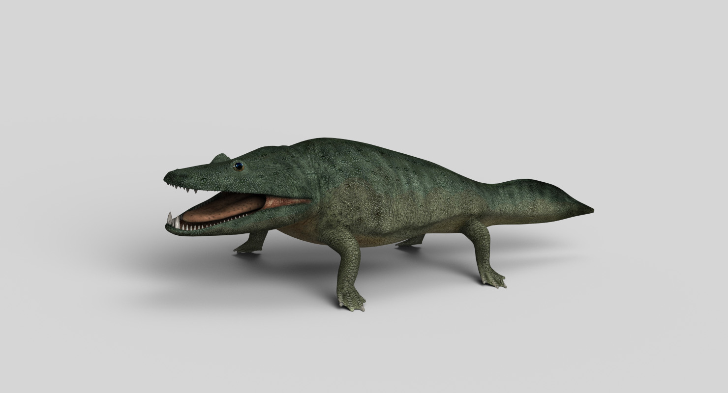 Mastodonsaurus 3D-Modell - TurboSquid 1358723