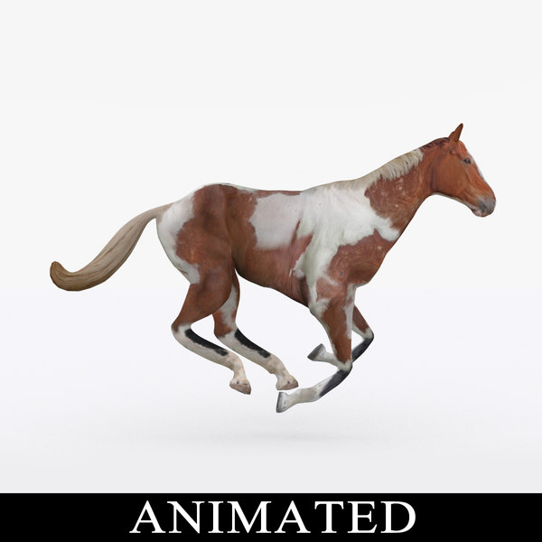 Animated Horse 3D Models for Download | TurboSquid