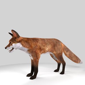 Fox Blender Models for Download | TurboSquid