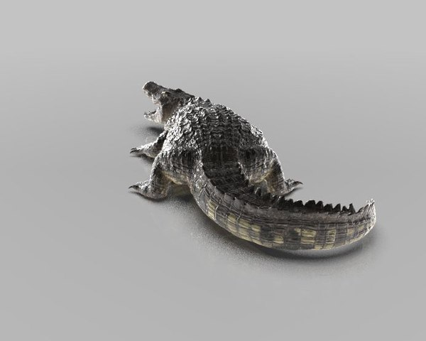 3D realistic crocodile model - TurboSquid 1360007