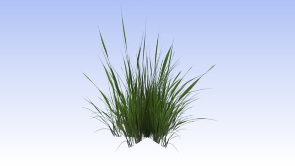 Free grass plant nature 3D model - TurboSquid 1360739