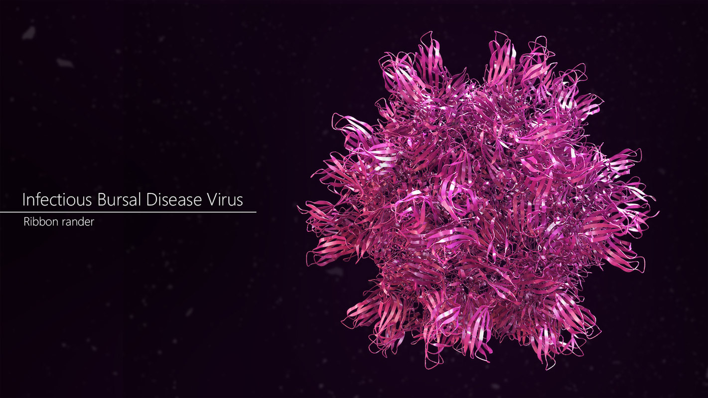 3D model infectious bursal disease virus - TurboSquid 1361379