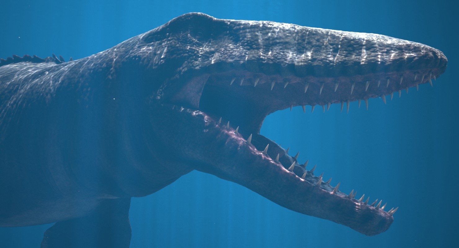 Rigged mosasaurus 3D model - TurboSquid 1361456