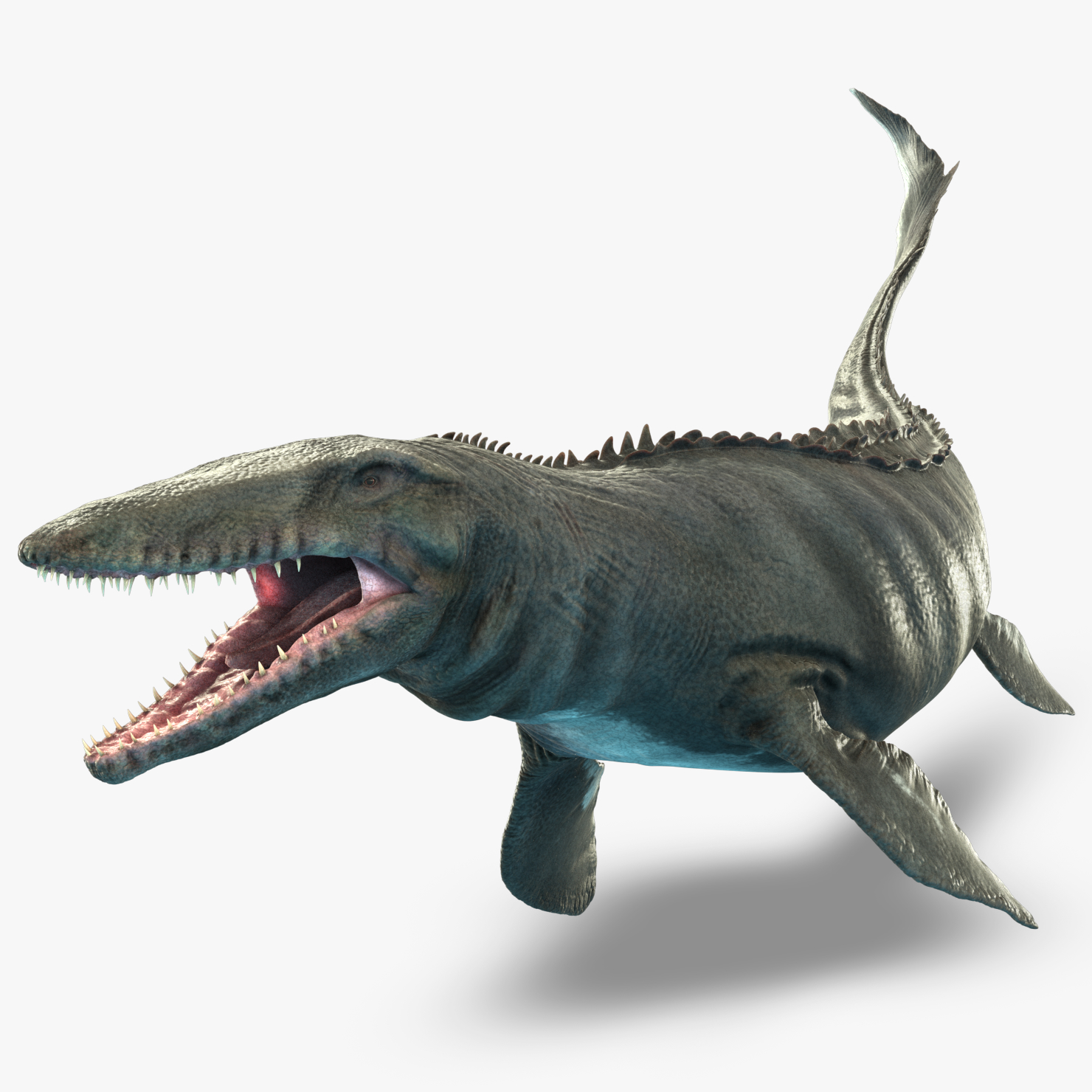 Rigged mosasaurus 3D model - TurboSquid 1361456