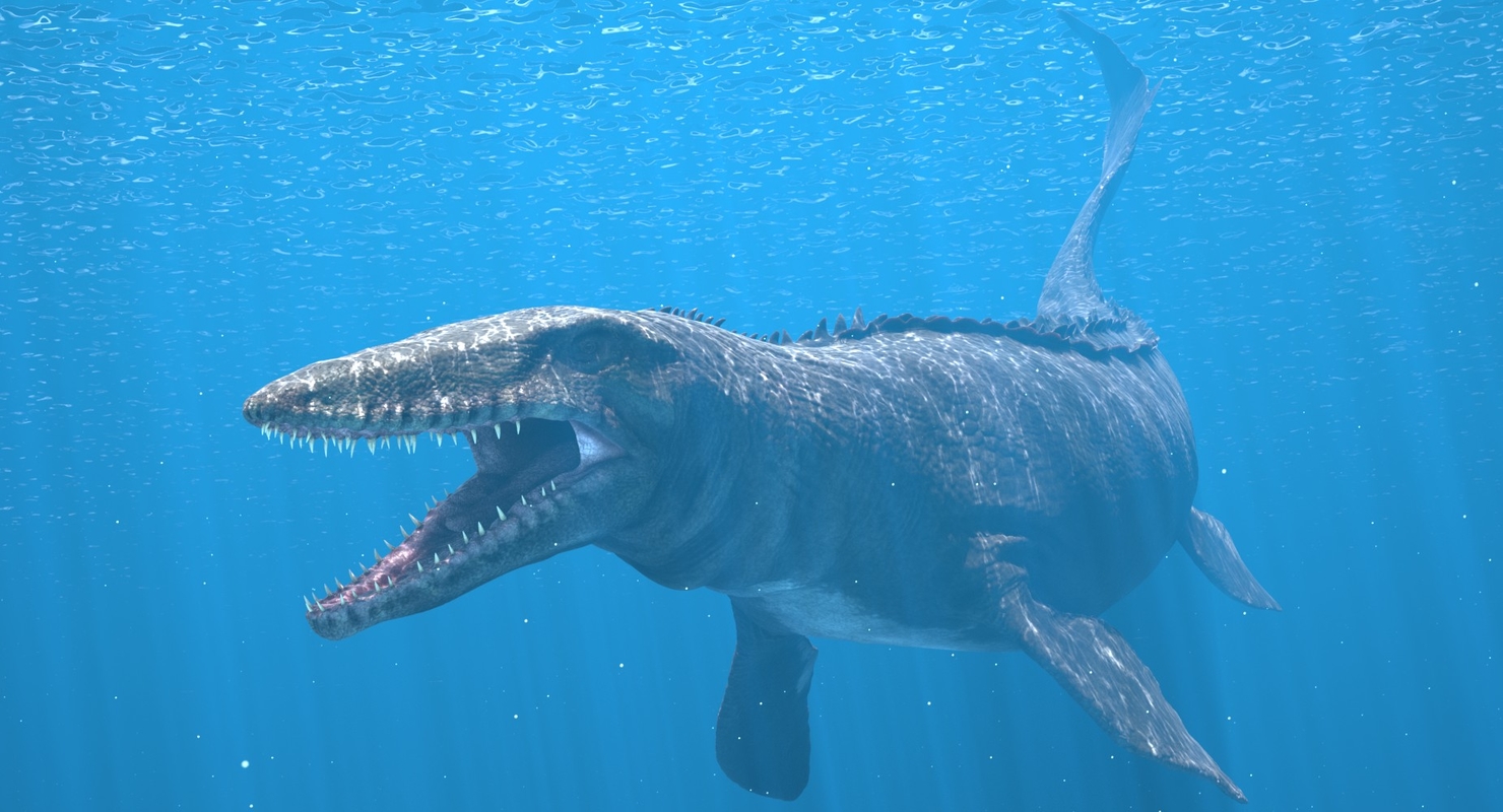Mosasaurus Rigged Model 3D - TurboSquid 1361456