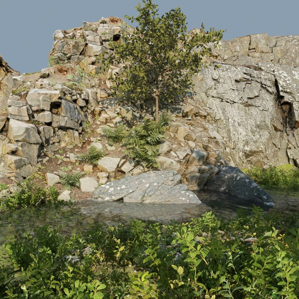 Rocky forest scene 3D model - TurboSquid 1361722