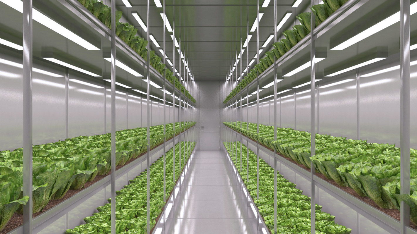 Hydroponics farm 3D model - TurboSquid 1361957