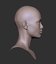 Asian woman head face 3D model - TurboSquid 1362337