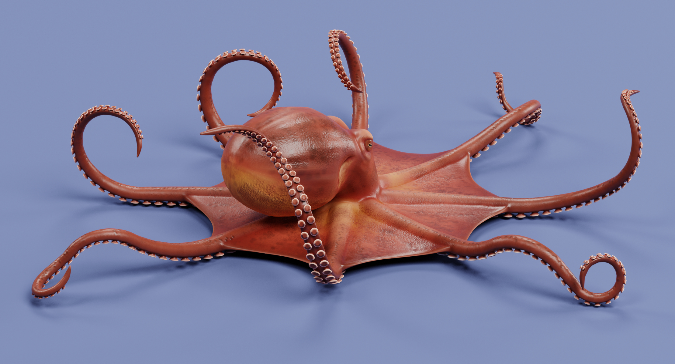 3D model giant pacific octopus rigged - TurboSquid 1362453