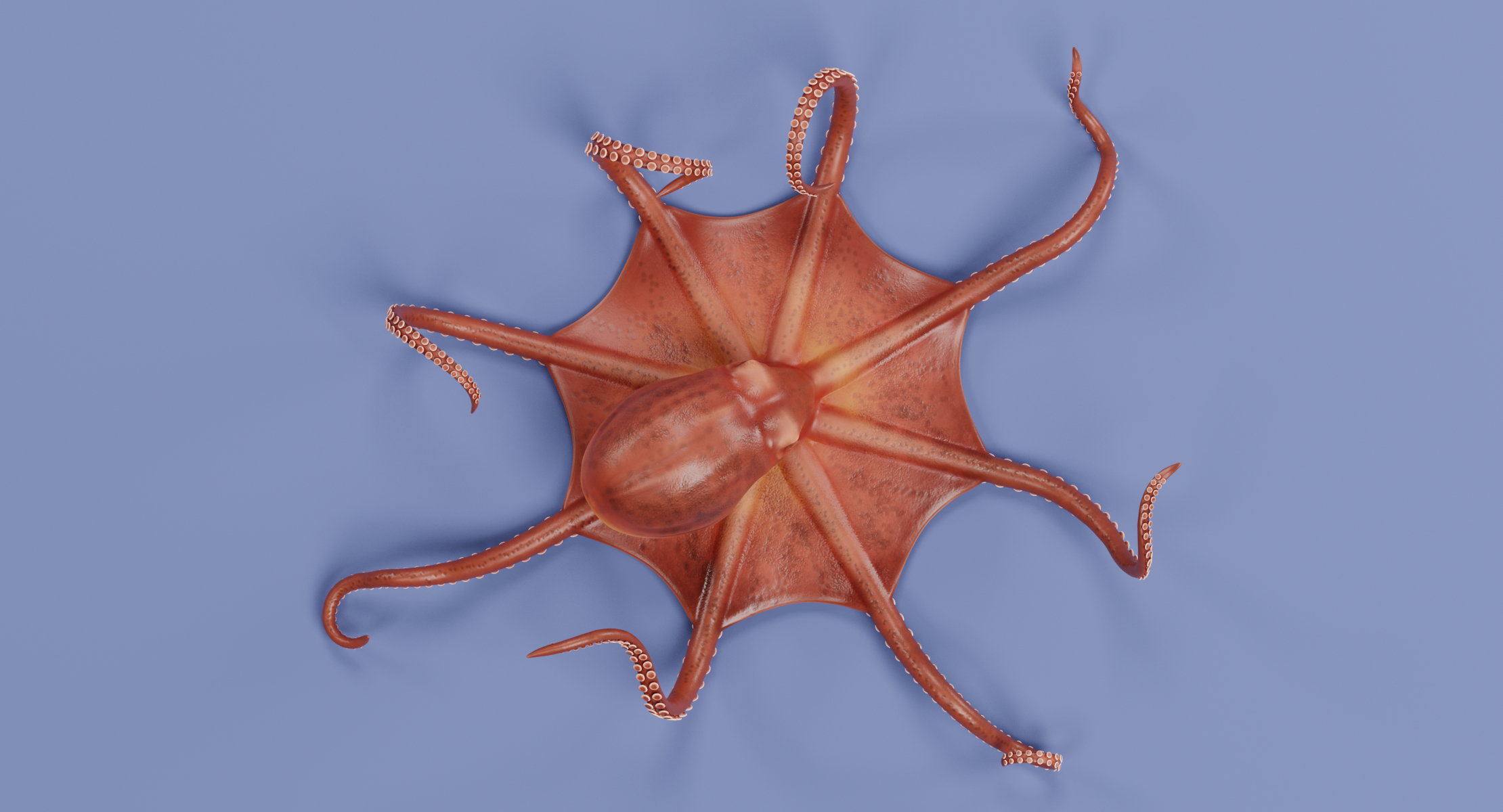 3D model giant pacific octopus rigged - TurboSquid 1362453