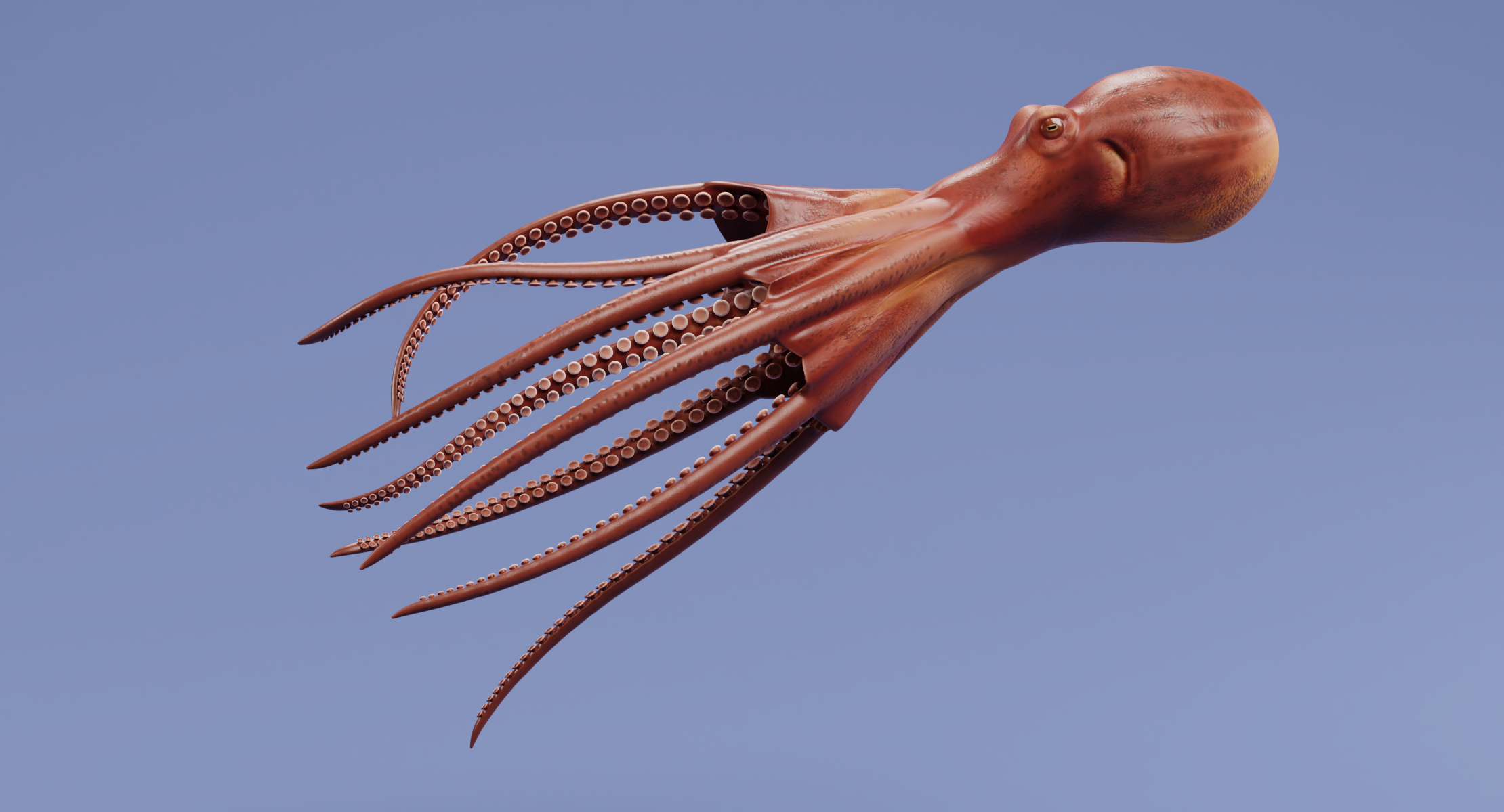 3D model giant pacific octopus rigged - TurboSquid 1362453