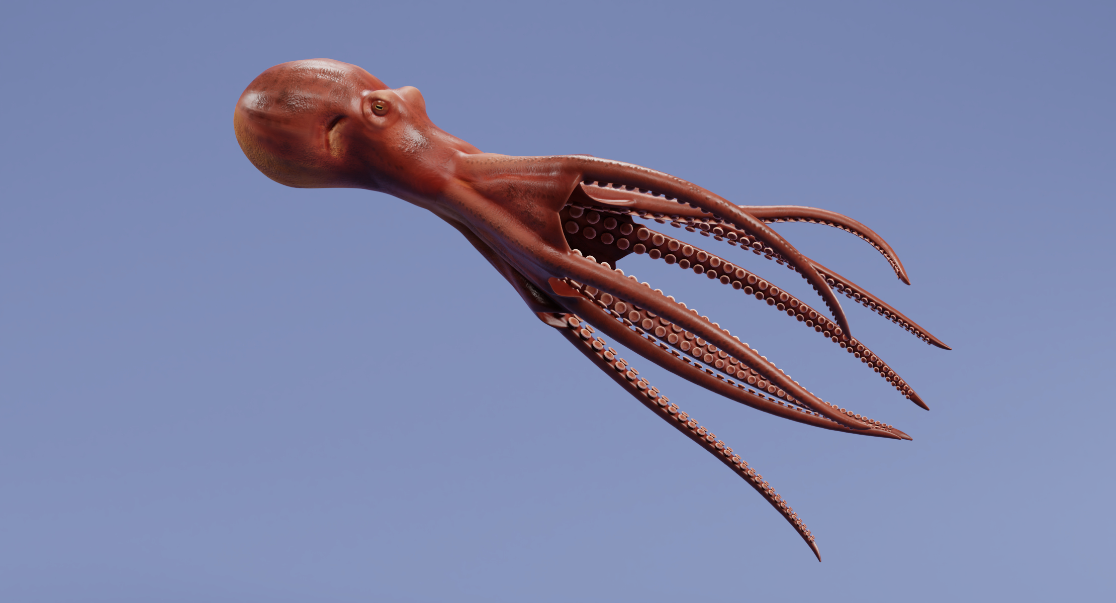3D model giant pacific octopus rigged - TurboSquid 1362453