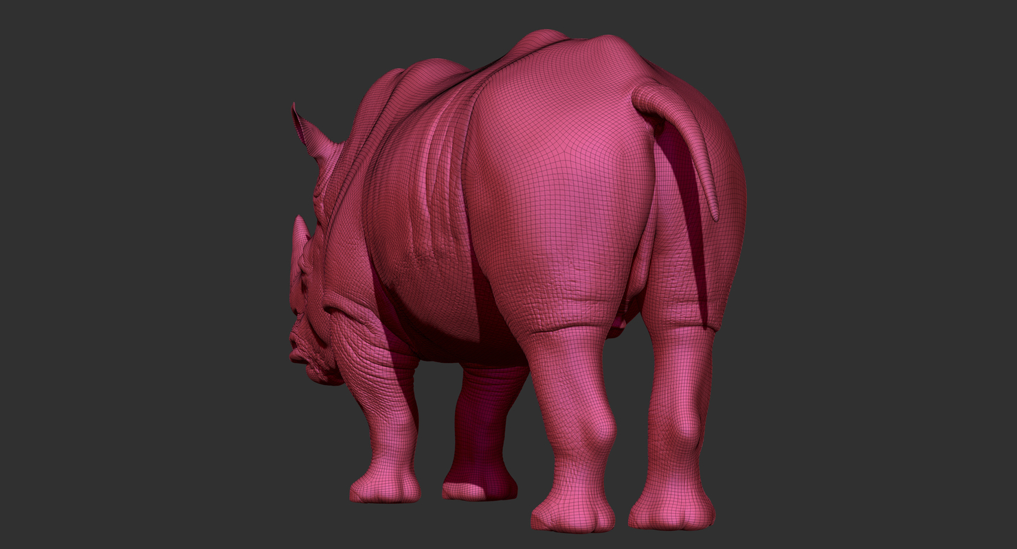 Realistic rhino model - TurboSquid 1351004