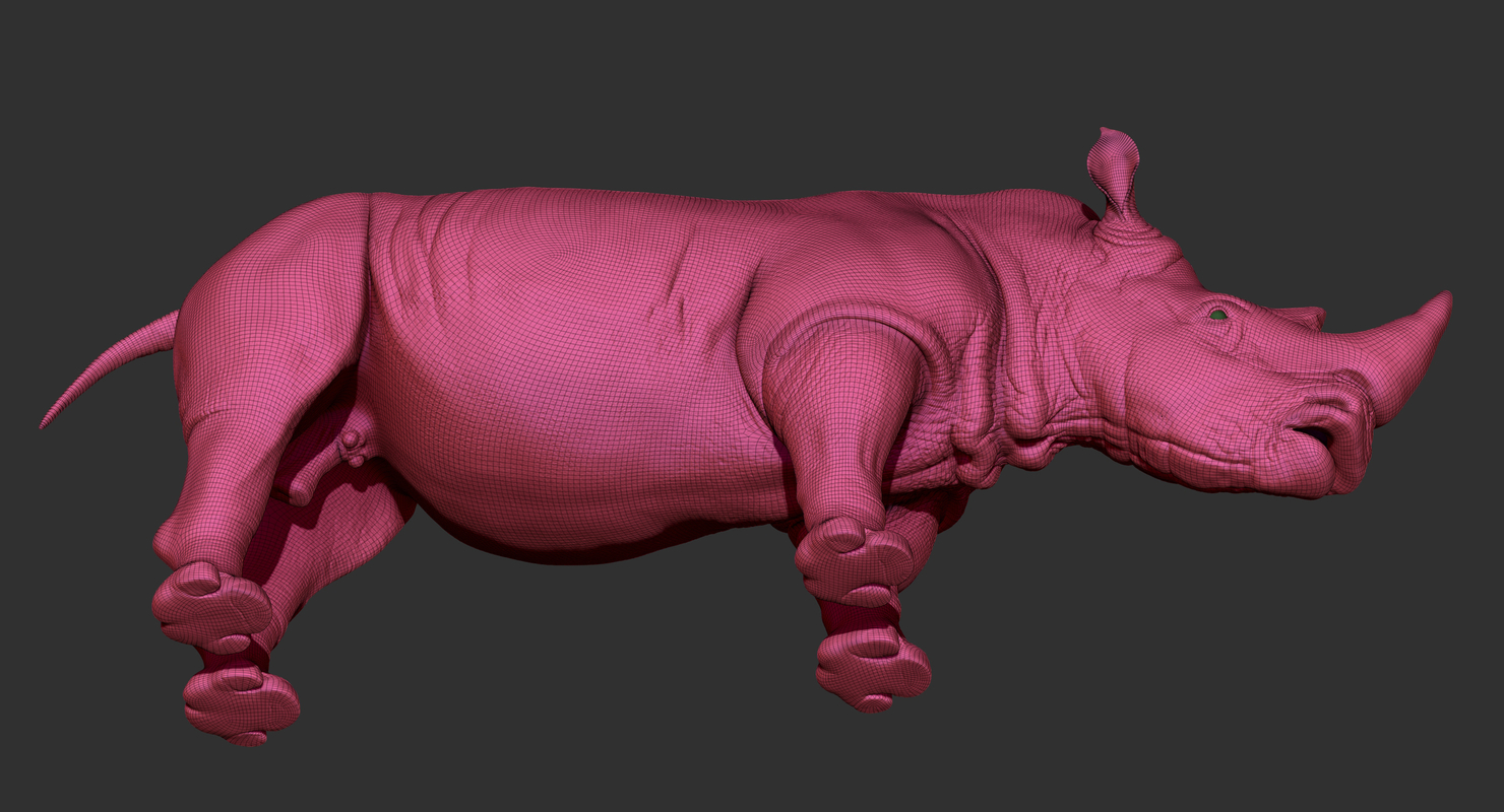 Realistic rhino model - TurboSquid 1351004